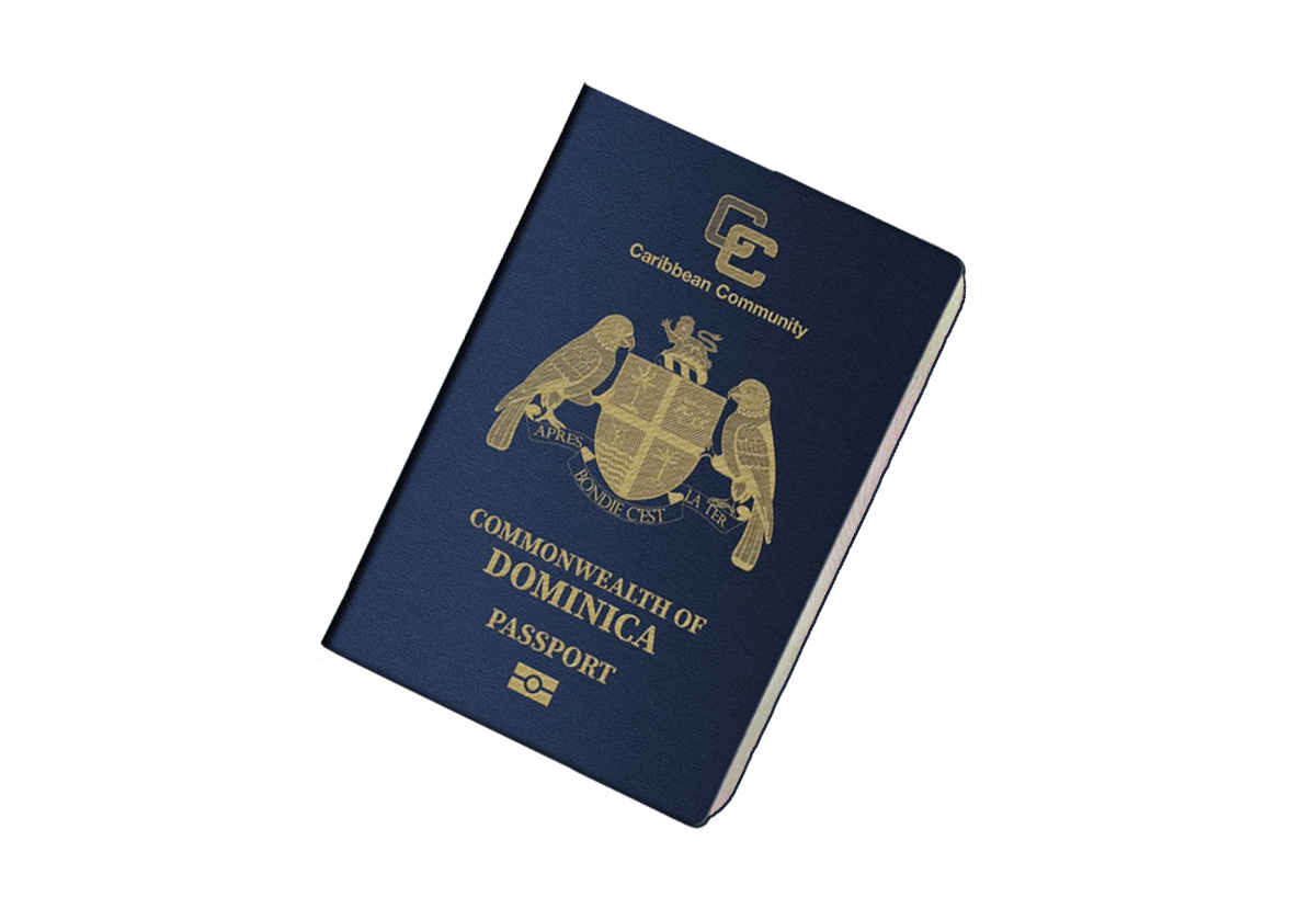 Devisers Consultancy – Devisers Consultancy Reviews