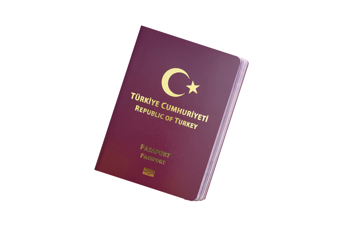 Devisers Consultancy – Devisers Consultancy Reviews